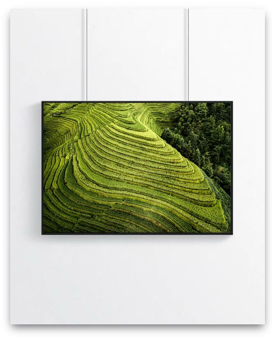 Dragon's lines - Francesco Fanti